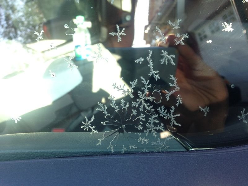 Window Defect - Ford F150 Forum - Community of Ford Truck Fans