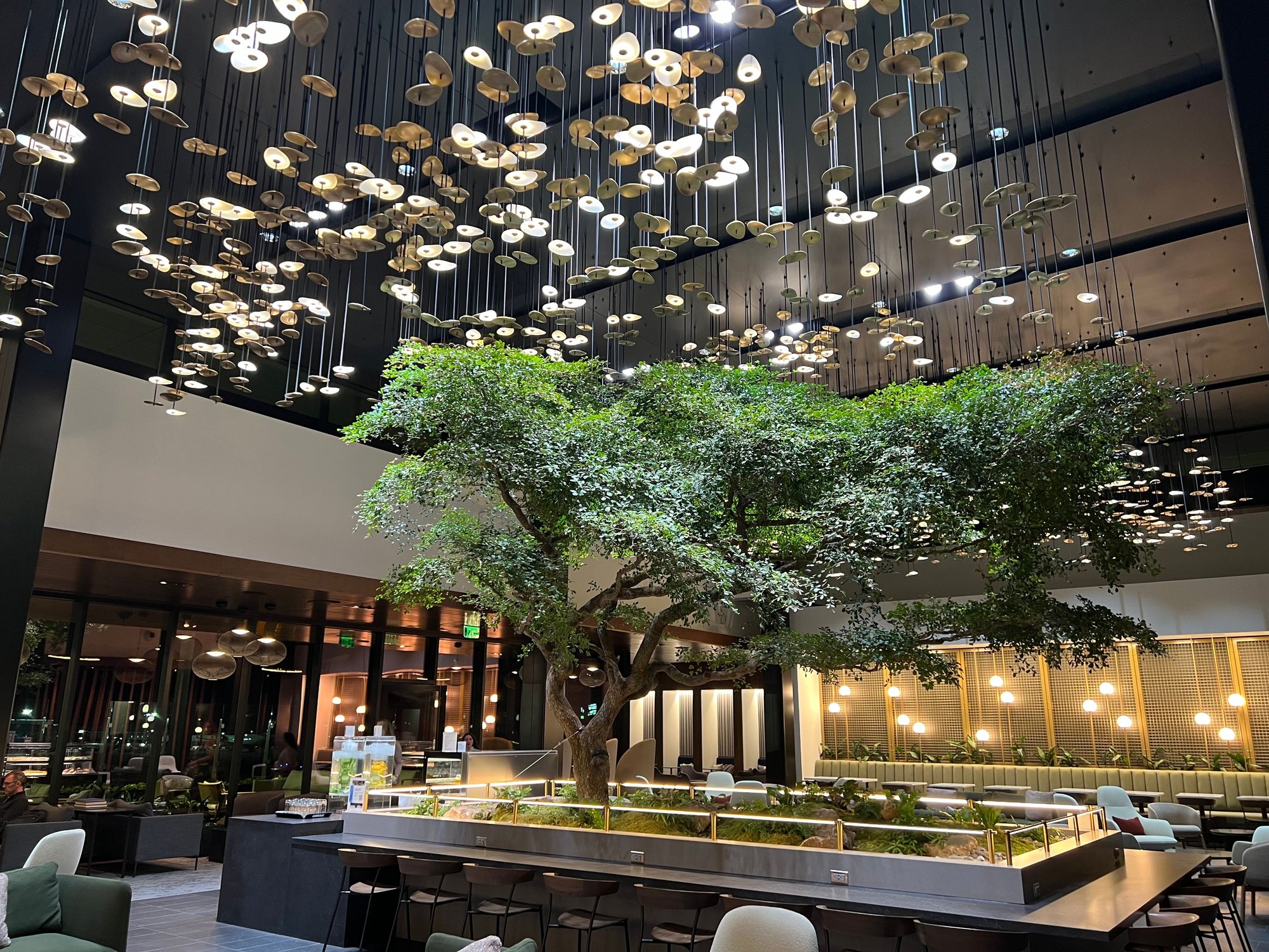 AMEX Centurion Lounge Near ATL Gate E11 Opens Tomorrow 2/14/24 - Page 3 ...