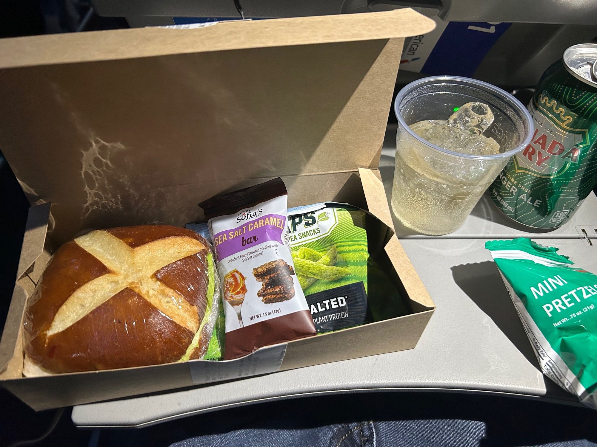 2025 AA Domestic Meal / Meals - menu / photos / etc. (master thread ...