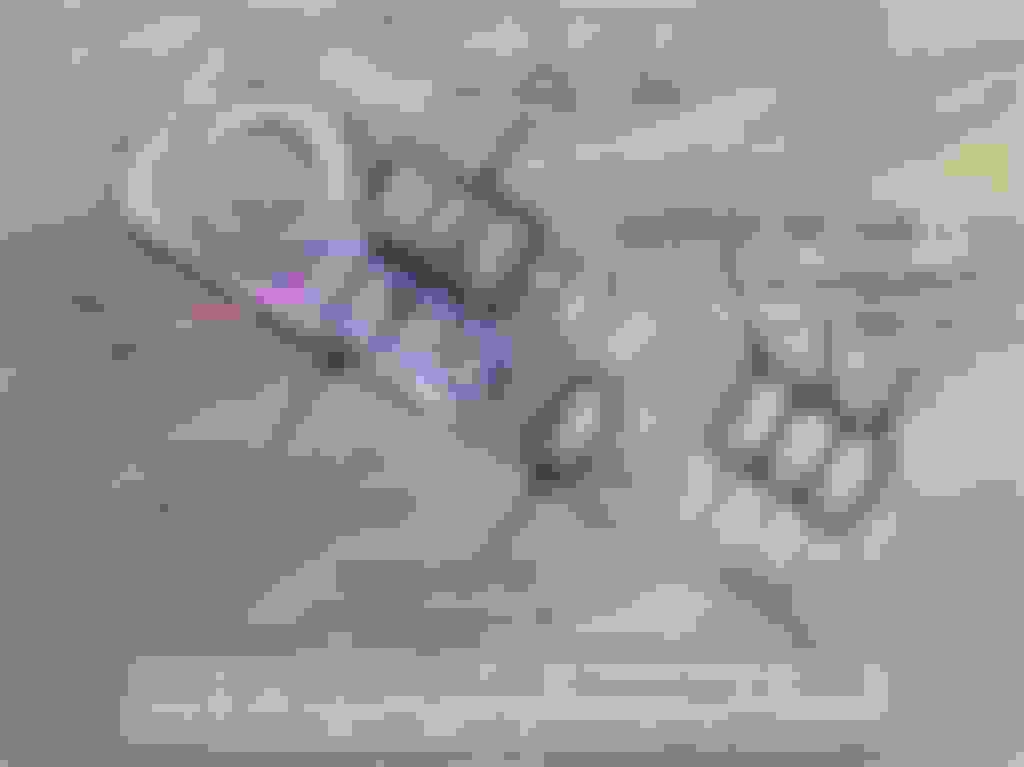 Decoding the Ford 9" Axle Tag - Ford Truck Enthusiasts Forums