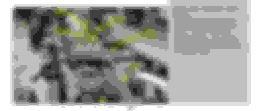 EGT How high is too high - Ford Truck Enthusiasts Forums