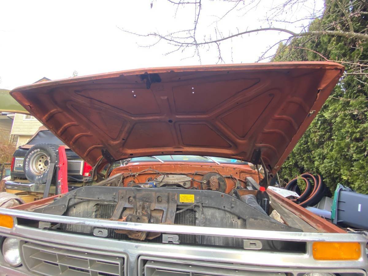 Old Style Bug Deflector. Need your help! - Page 4 - Ford Truck ...