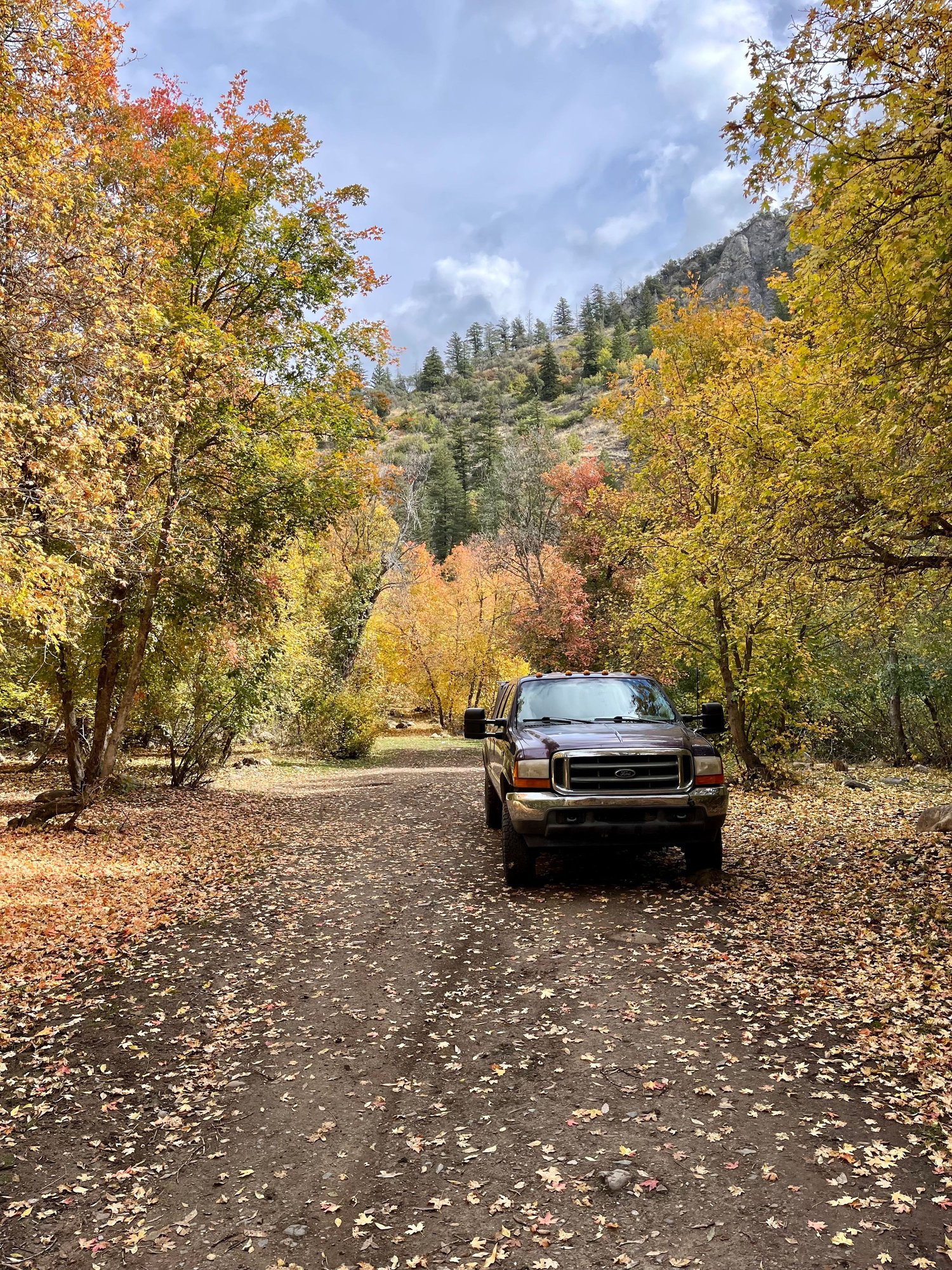 Fall pic thread - Ford Truck Enthusiasts Forums