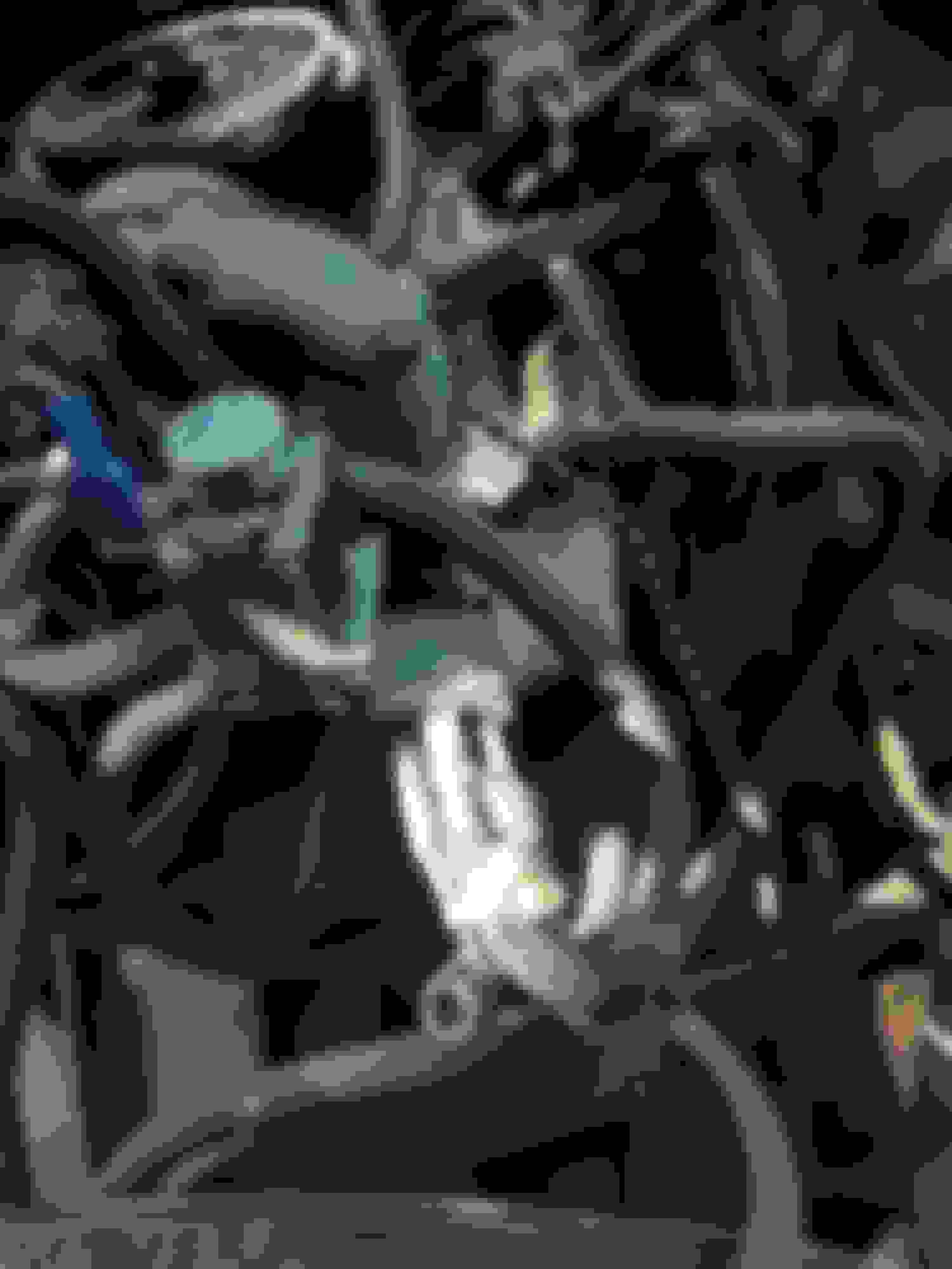 7.3 IDI parts identification - Ford Truck Enthusiasts Forums