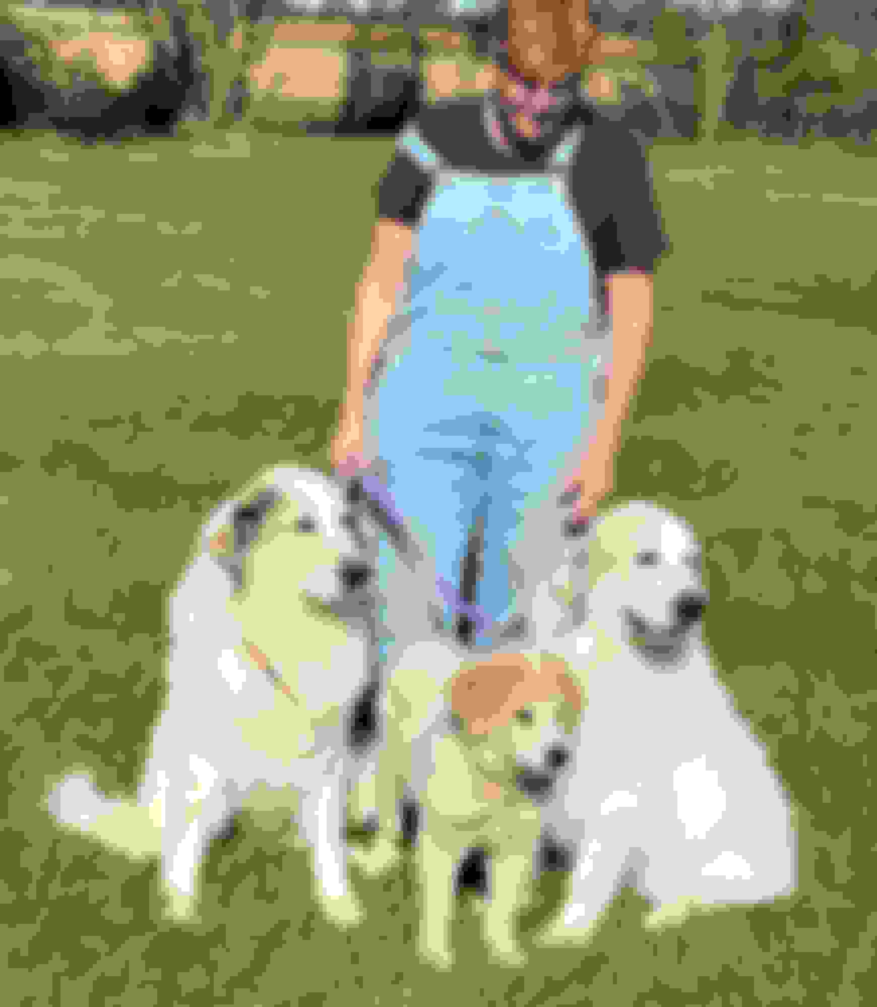 NEW MEMBER Introduction Thread (NO TECH QUESTIONS) - Page 1465 - Ford Truck Enthusiasts Forums