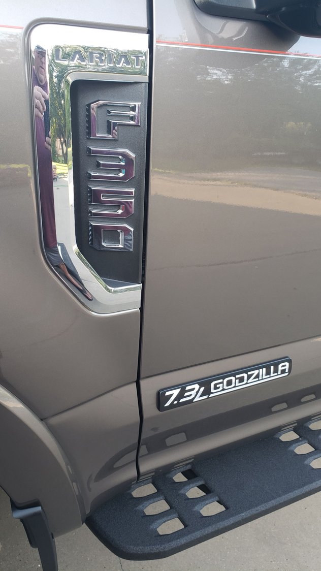 Are these Godzilla emblems any good? - Page 3 - Ford Truck Enthusiasts ...