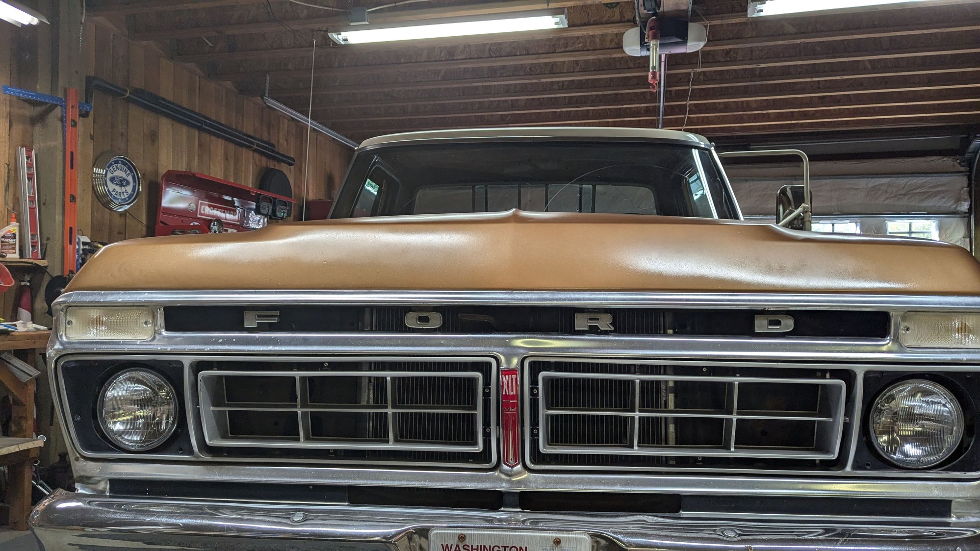 Grille Insert Color - opinions wanted - Ford Truck Enthusiasts Forums