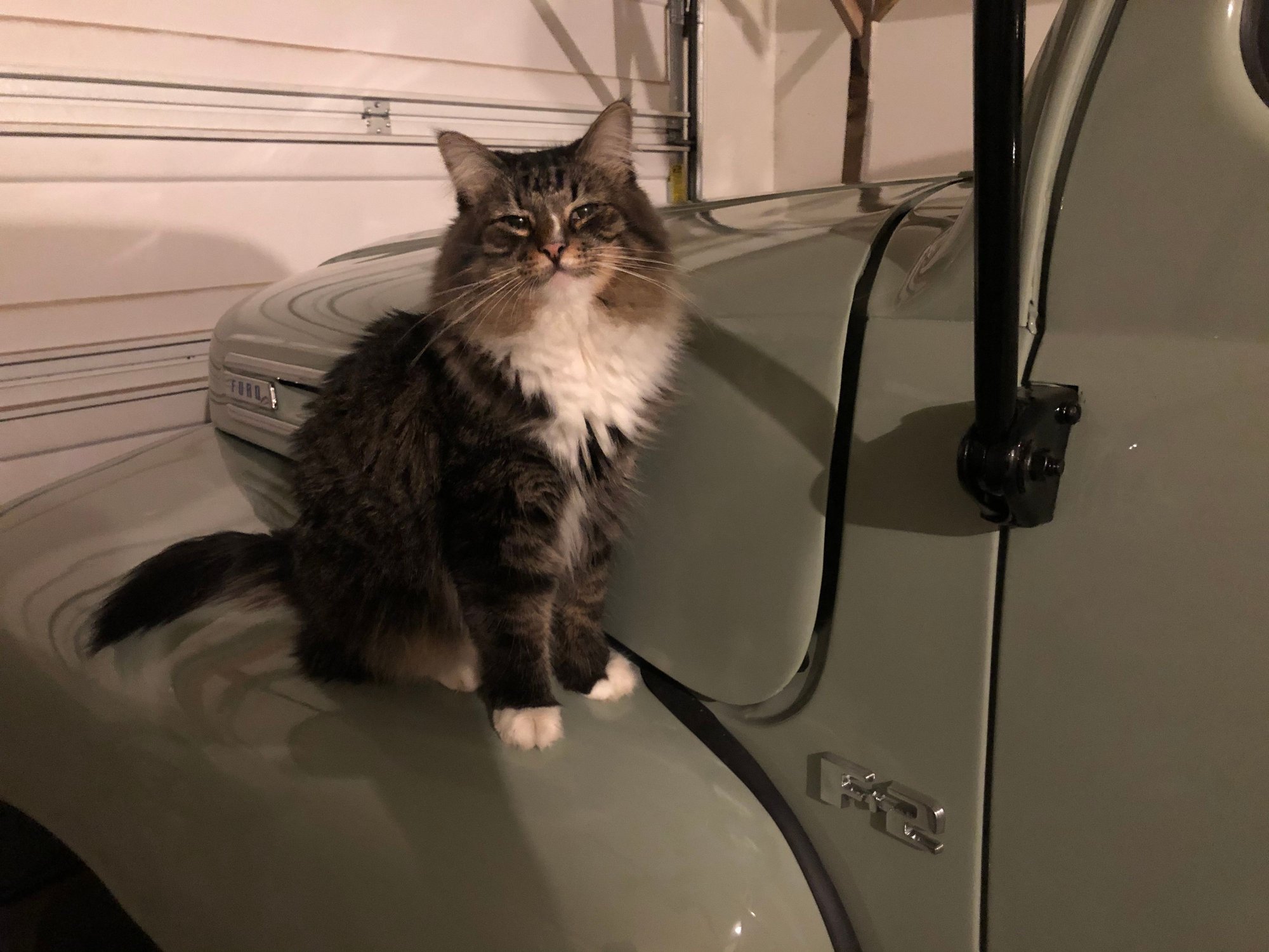 1950 F-2 Restoration Thread - Page 13 - Ford Truck Enthusiasts Forums