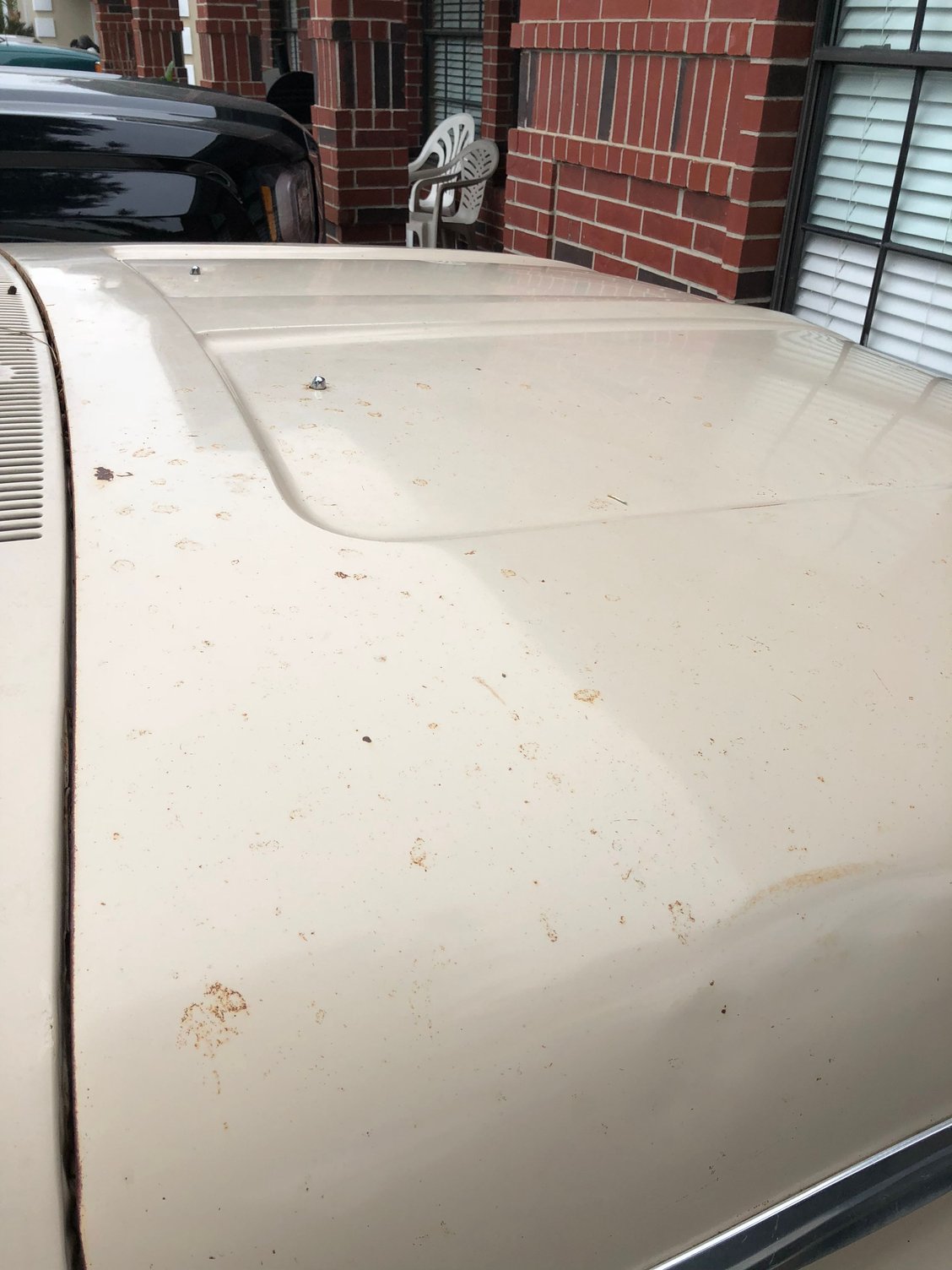 Light Surface Rust Removal? - Ford Truck Enthusiasts Forums