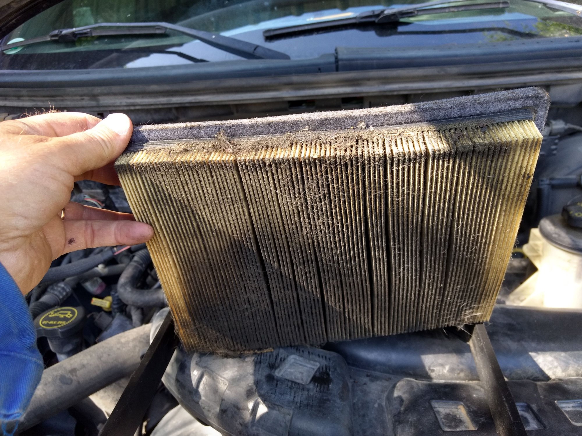 2006 F-150 fuel filter replacement - Ford Truck Enthusiasts Forums