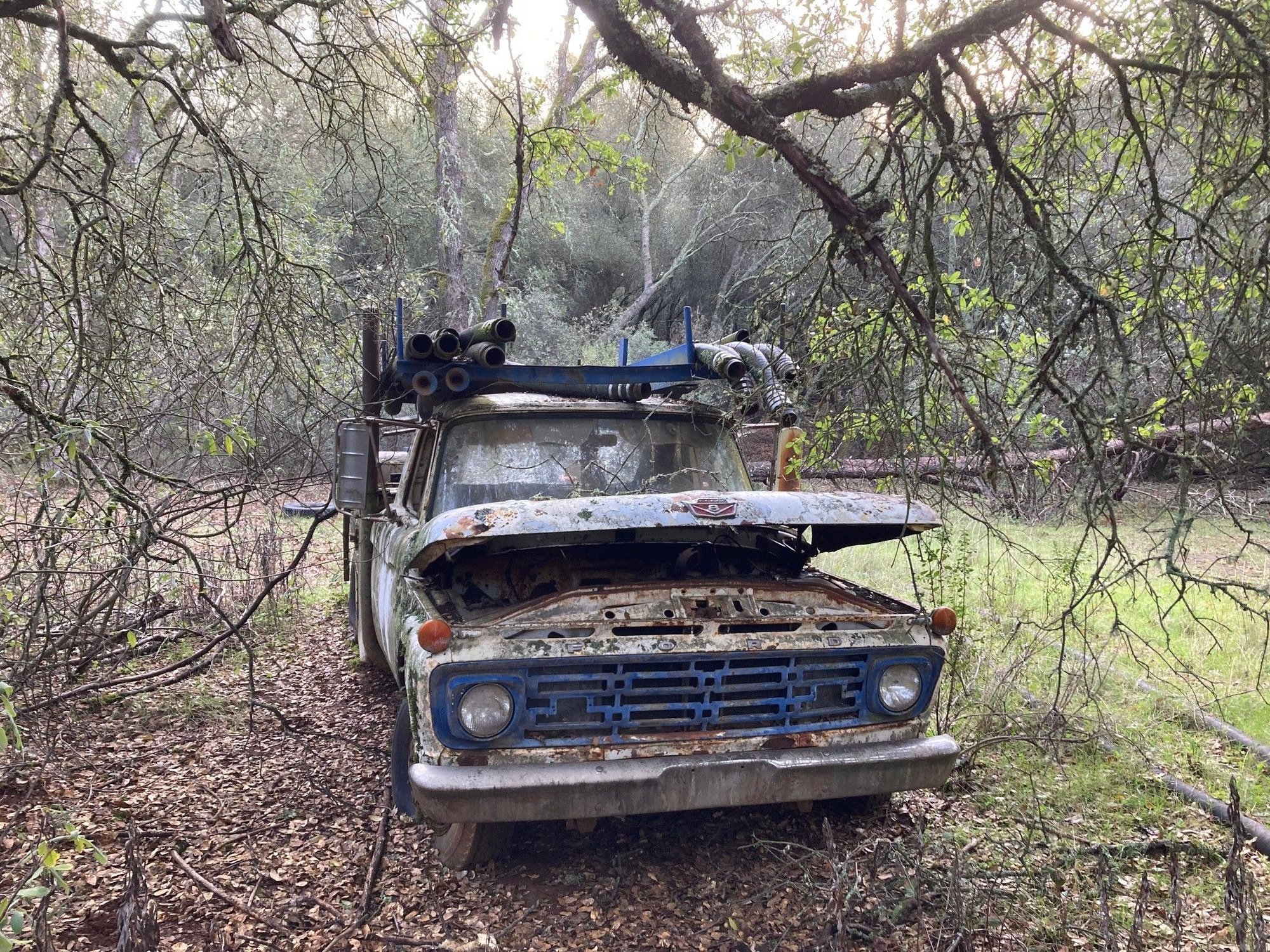 Data Plate Decode Assist - Ford Truck Enthusiasts Forums