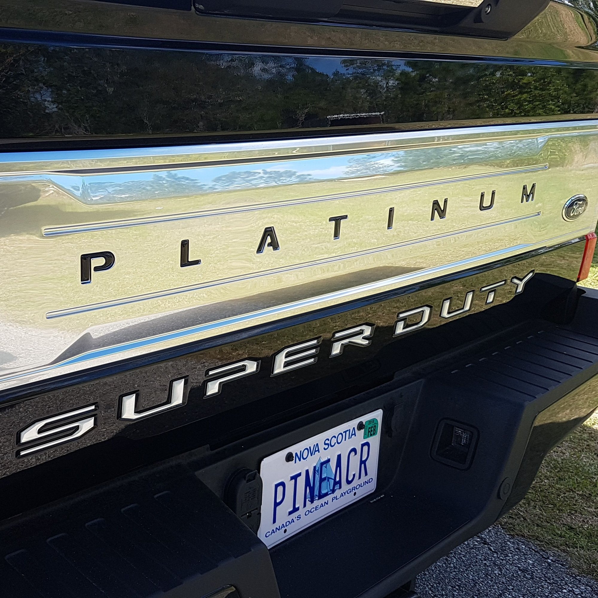 Tuff Skinz Platinum Tailgate letters Inserts! PICS - Ford Truck ...