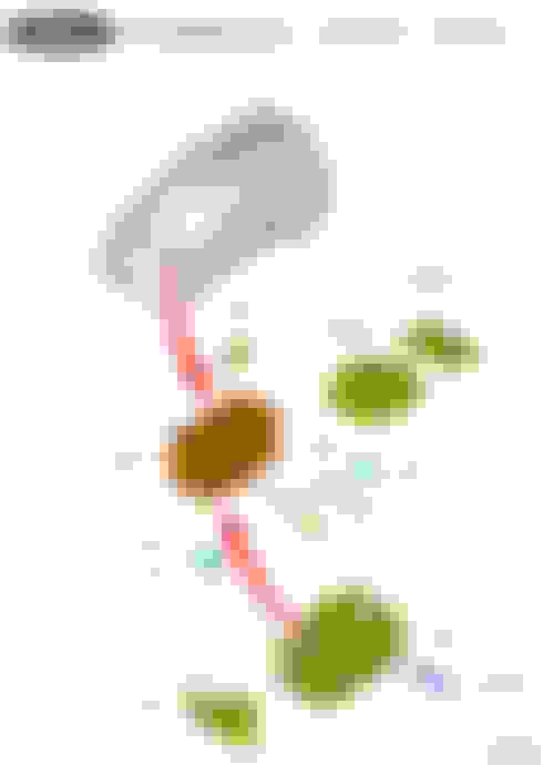 Battery Replacement - Ford Truck Enthusiasts Forums