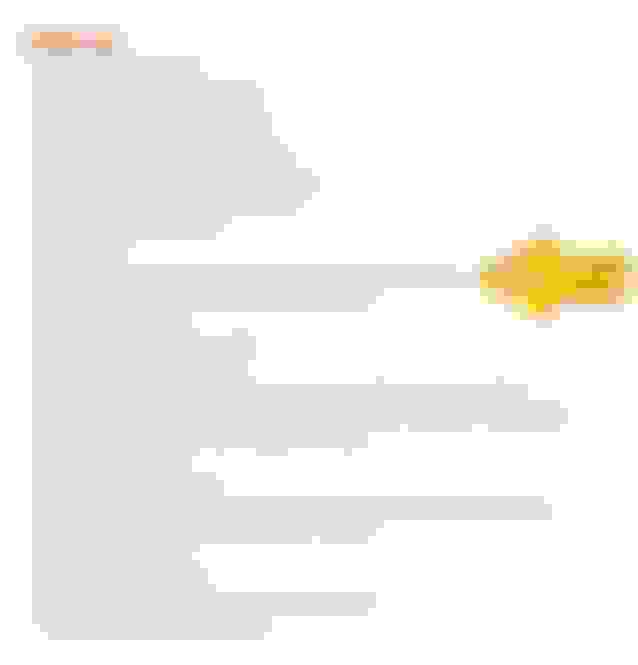 Front Passenger Wheel Well Plastic Liner Removal - Ford Truck ...