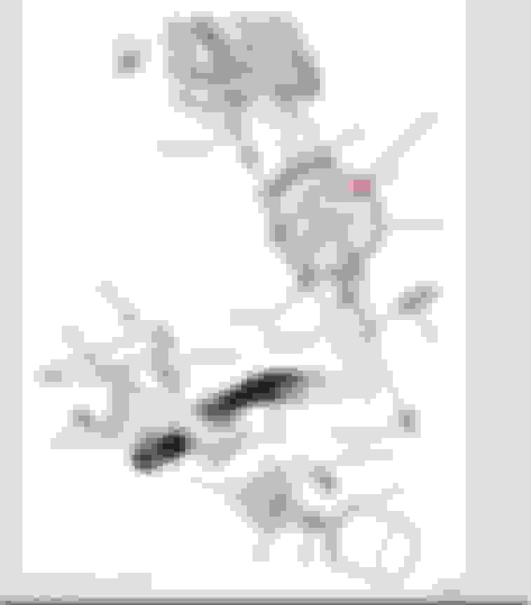 Oil filter adapter housing - Ford Truck Enthusiasts Forums