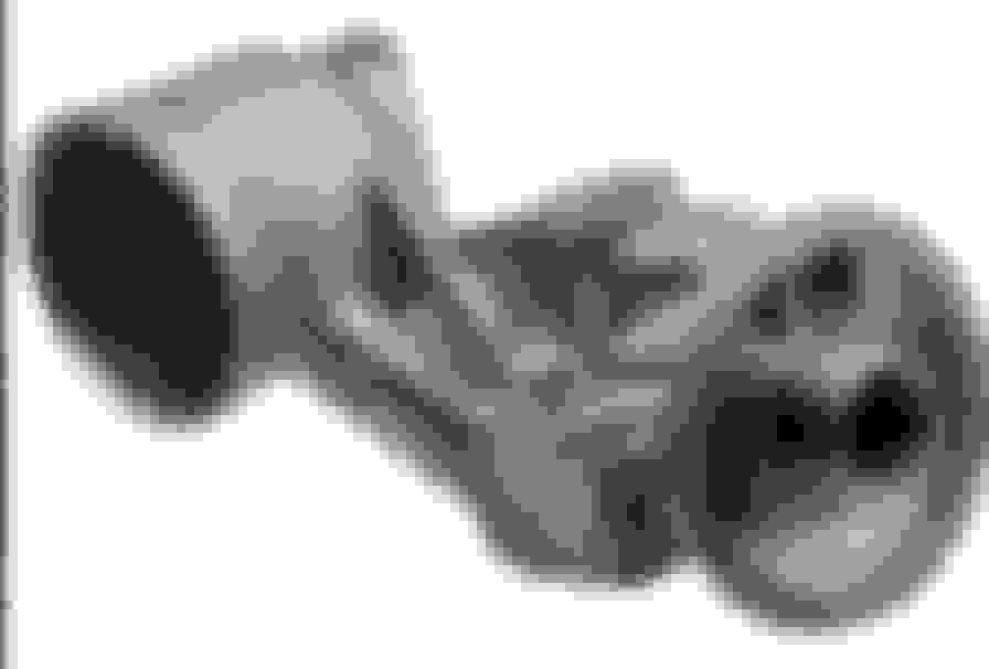 FL1995 vs FL1995–A - Page 4 - Ford Truck Enthusiasts Forums