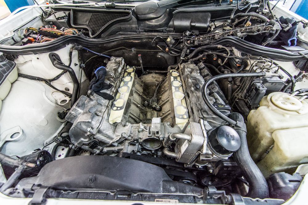 W210 Mercedes E55 AMG Project | Mercedes-Benz Forum