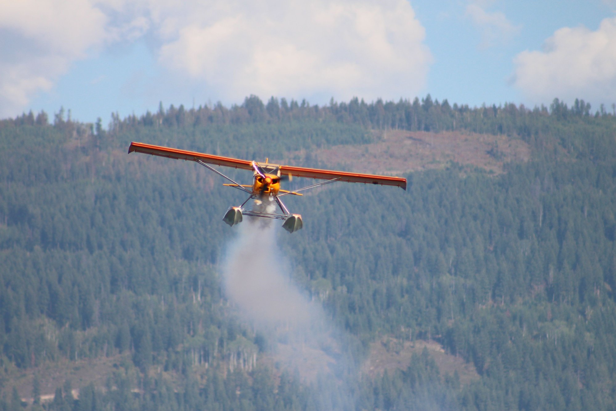 38% Maule 150" wingspan 120CC 3W comp engine - RCU Forums