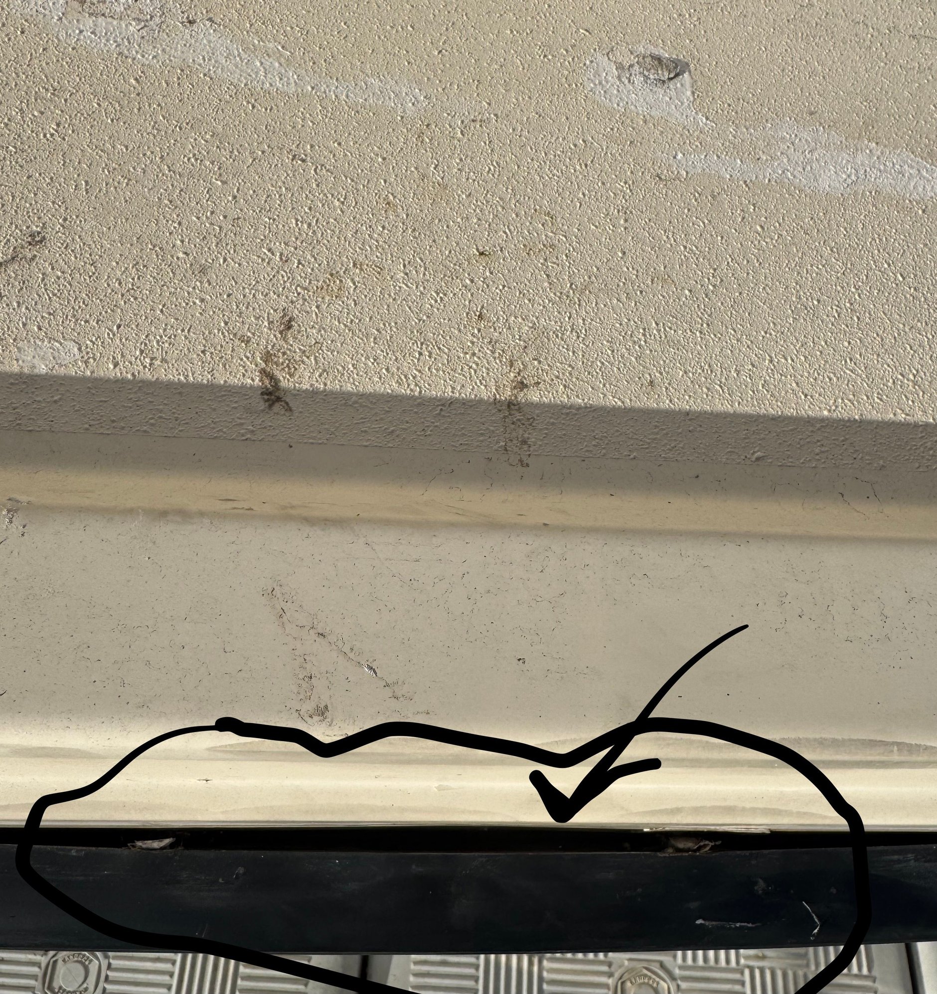 Help with falling off rub rail - The Hull Truth - Boating and Fishing Forum