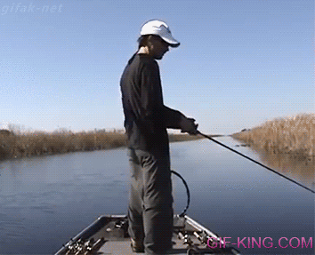 Fail Gifs - Page 14 - The Hull Truth - Boating and Fishing Forum