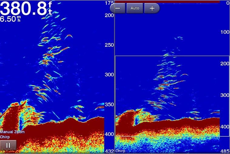 The Hull Truth - Boating and Fishing Forum - GT56UHD vs GT51M for ...