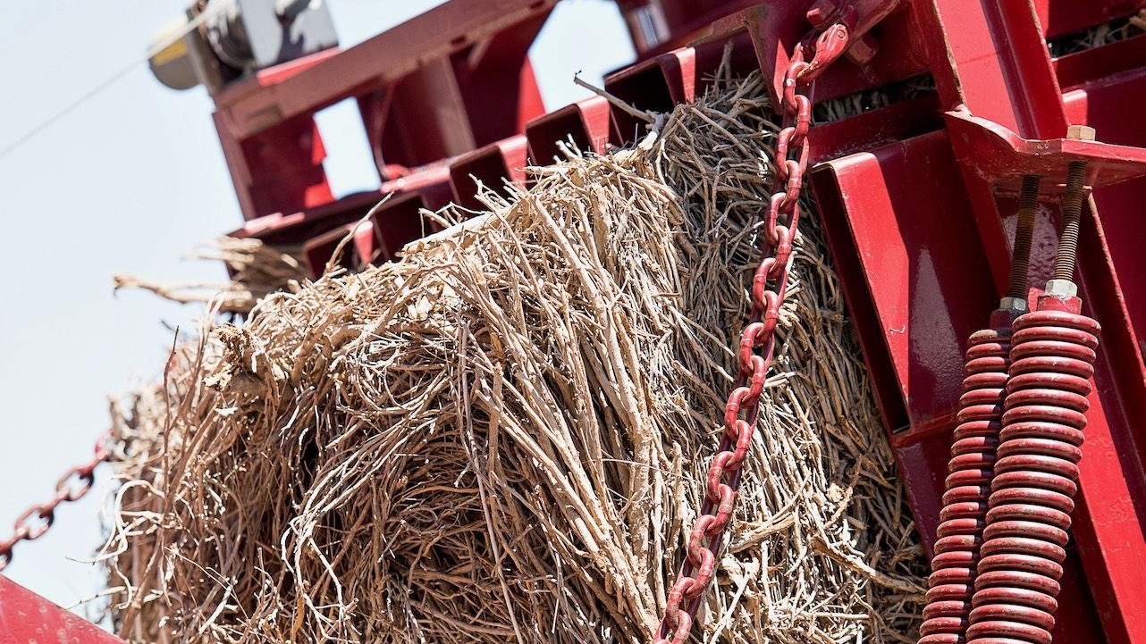 Bridgestone aims to make natural-rubber tires from a sustainable ...