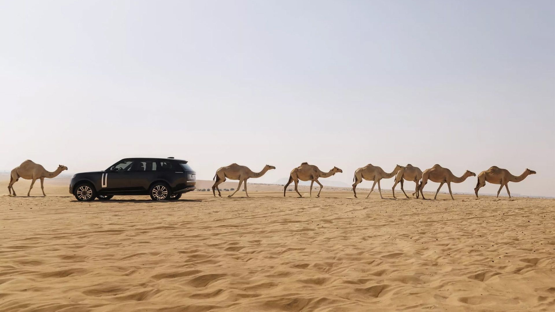 Range Rover Electric endures over 120 degrees in hot-weather testing