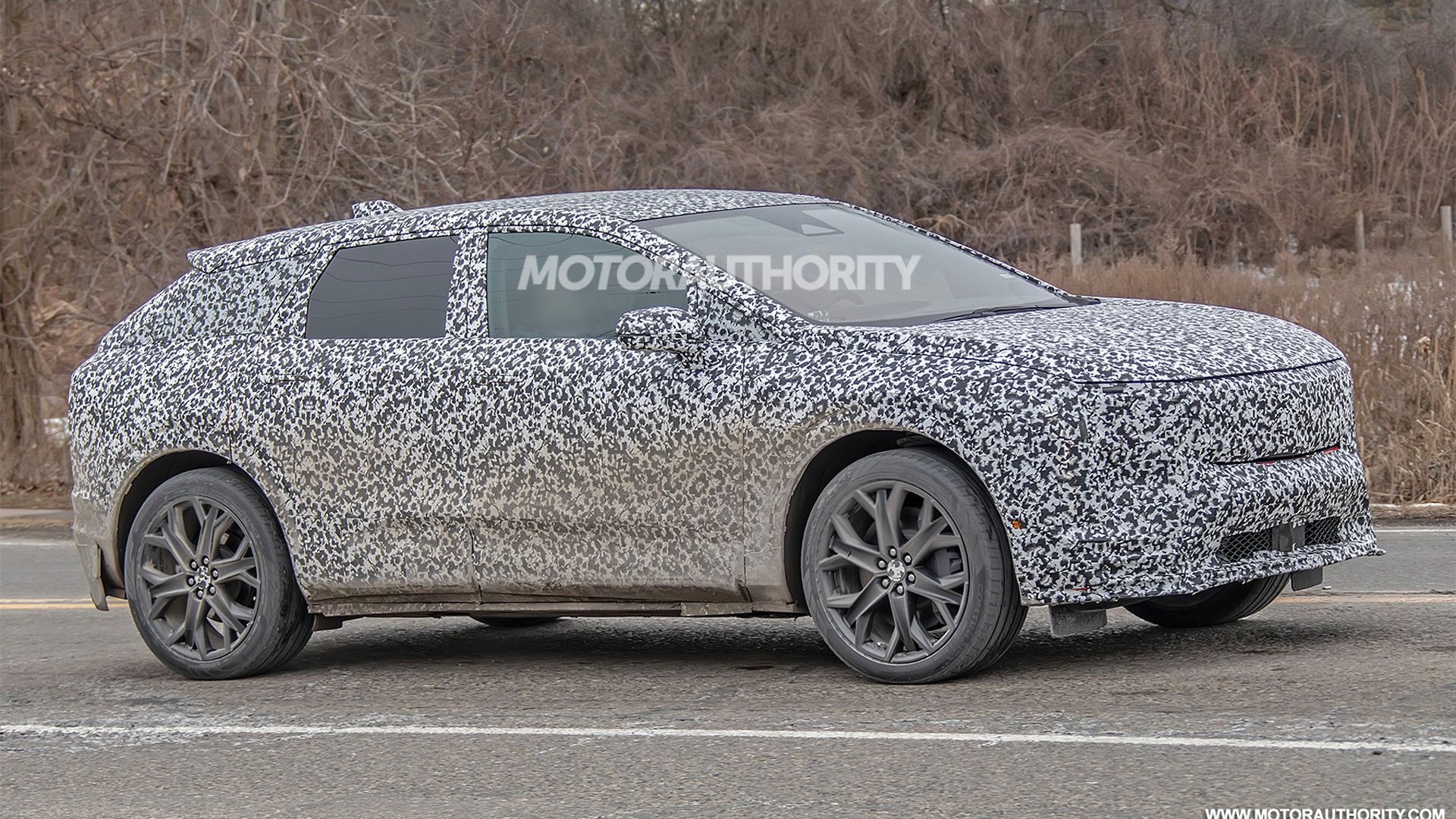 2026 Cadillac Optiq-V coming to rival Tesla Model Y Performance