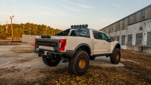 Review: MegaRexx MegaRaptor commands attention