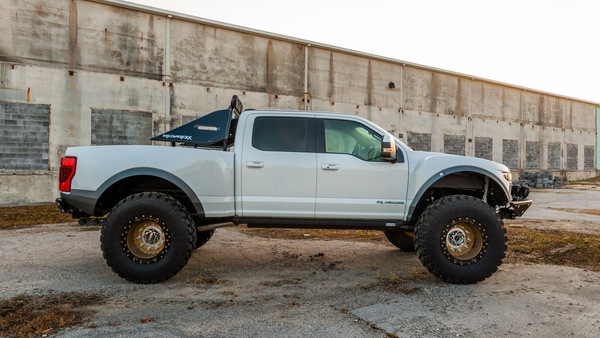 Review: MegaRexx MegaRaptor commands attention