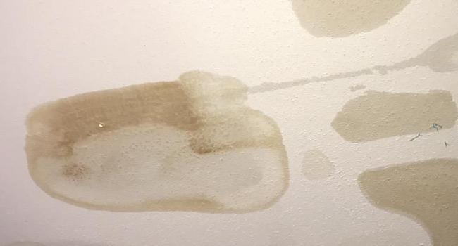 2929 Dunvale - 33 Reviews | Houston, TX Apartments for Rent ...